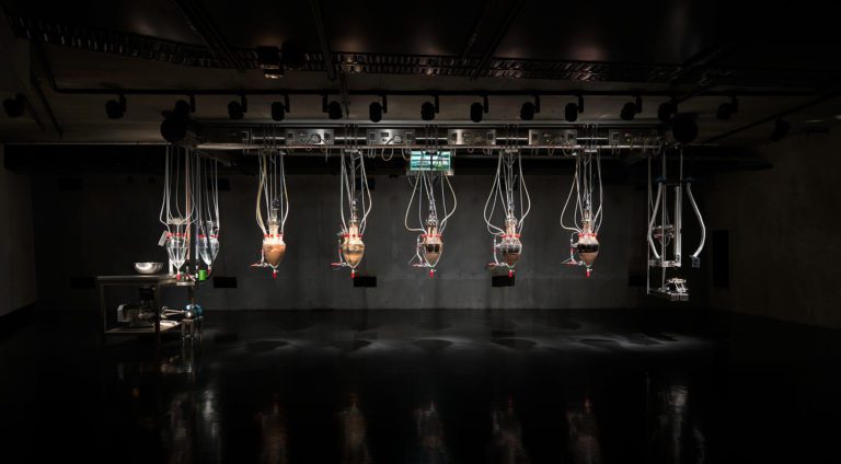 This Museum Has A Working “Poop Machine” - Your Mileage May Vary