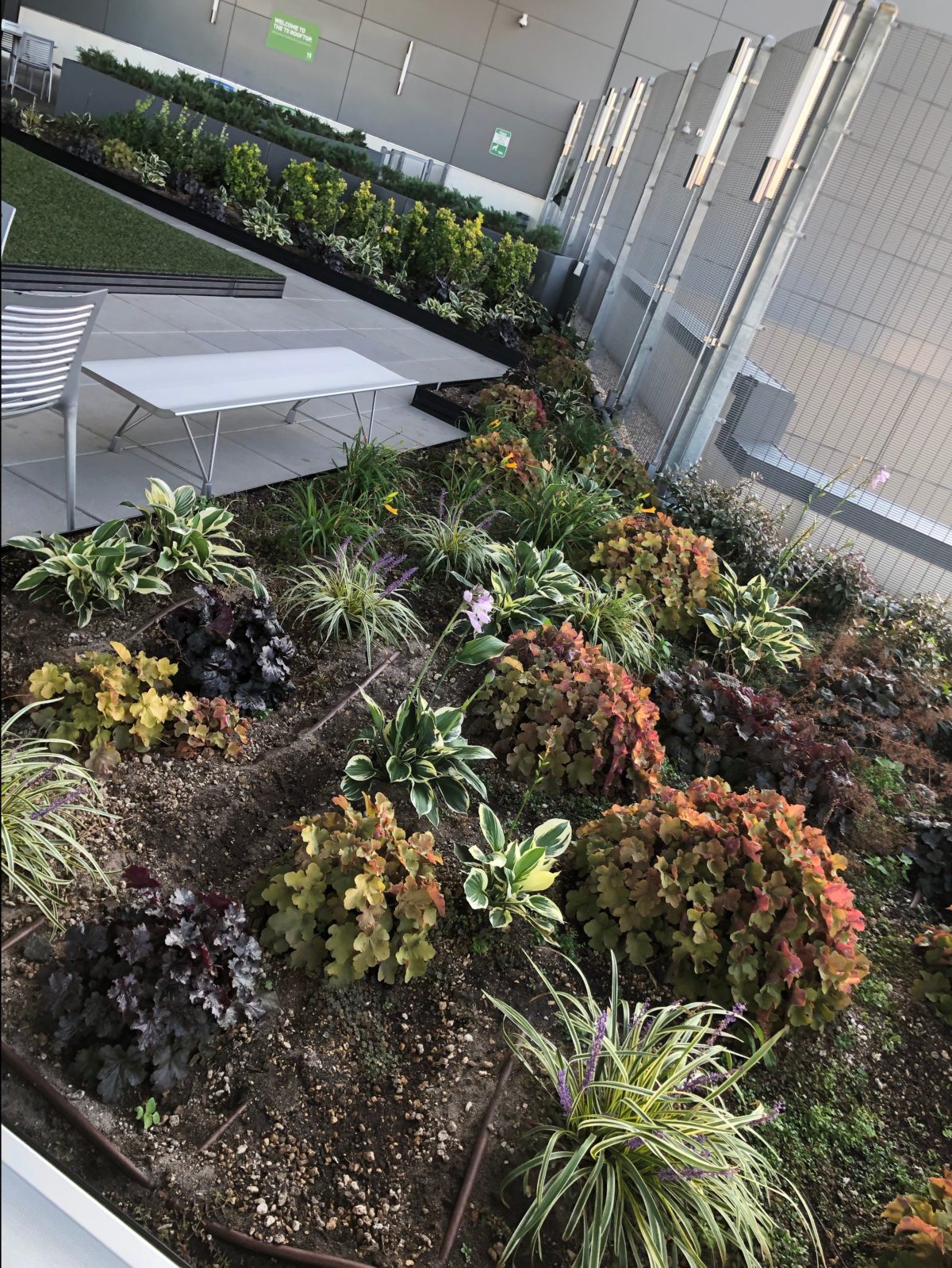 Lounge Review: JetBlue T5 Rooftop - JFK Airport - Your Mileage May Vary