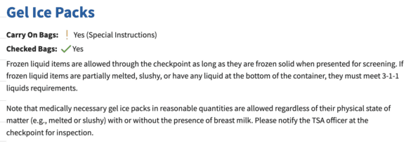 The TSA Says Ice Is A Solid Until It's Not: What You Can Bring Through ...