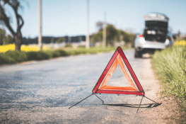 Understanding the "PM" Sticker on Florida License Plates - Your Mileage ...