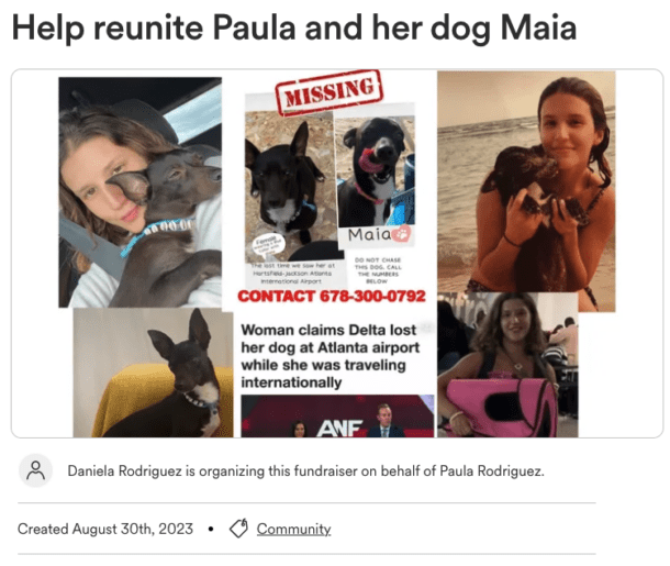 Update: Delta Lost Her Dog at ATL. Here's What Happened Since - Your ...