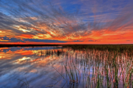 Understanding the "PM" Sticker on Florida License Plates - Your Mileage ...
