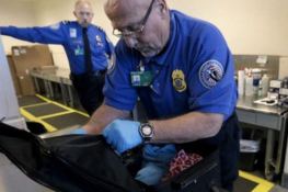 What Does TSA See When They Scan Your ID? - Your Mileage May Vary