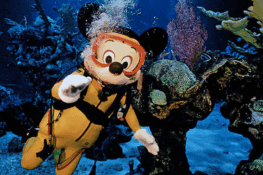 All About U.S.-Based Lifetime Airline Passes - Your Mileage May Vary